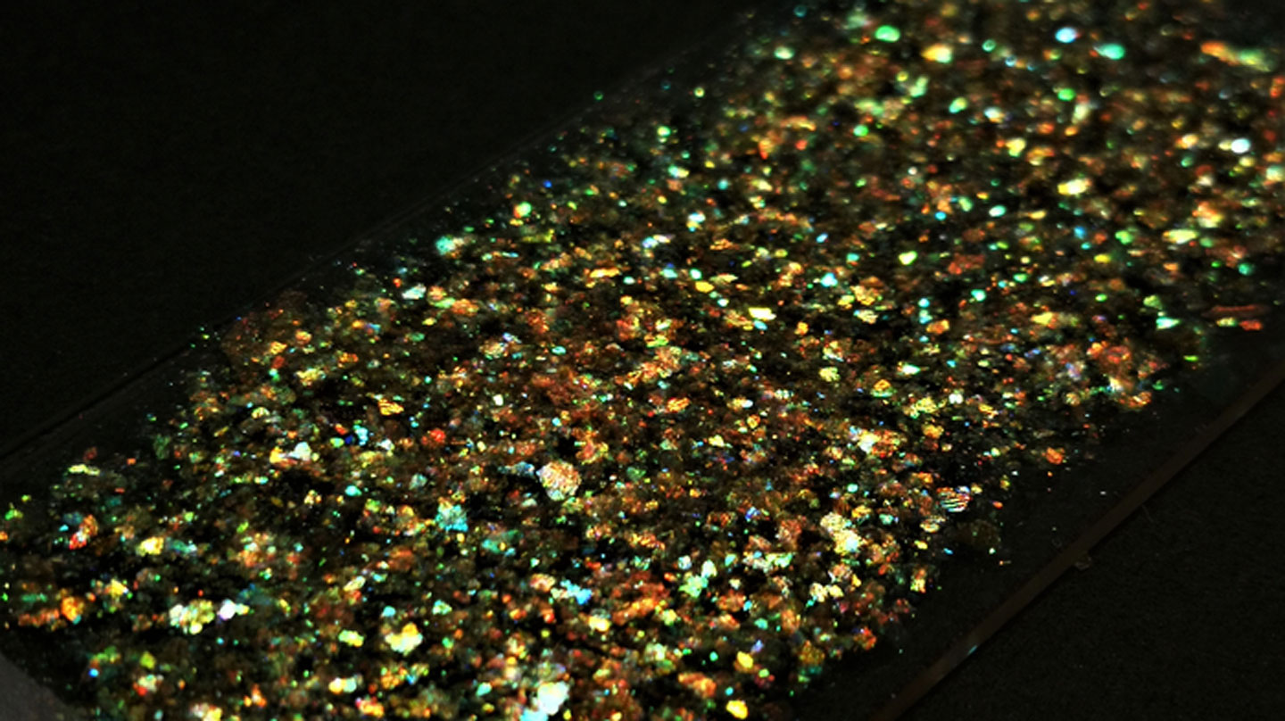 Creating Glitter From Plants Blupela Creating Glitter From Plants Blupela